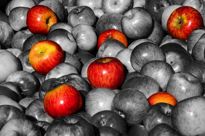 Online-Galerie - KulturVision e.V.