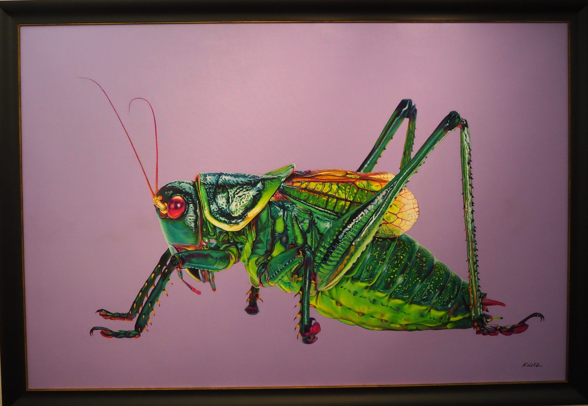 Helmut Koller und seine Tierwelt - KulturVision e.V.