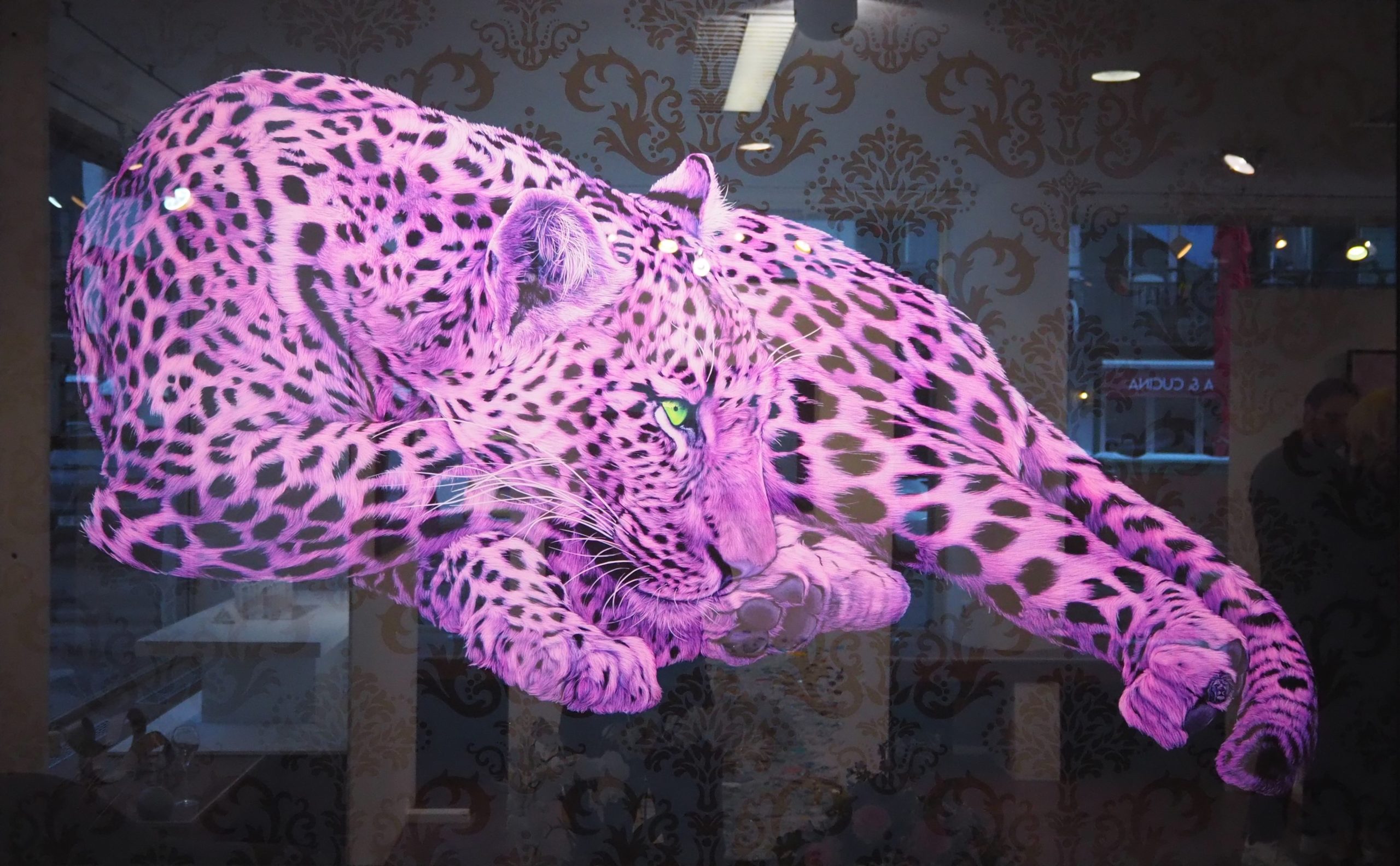 Helmut Koller und seine Tierwelt - KulturVision e.V.